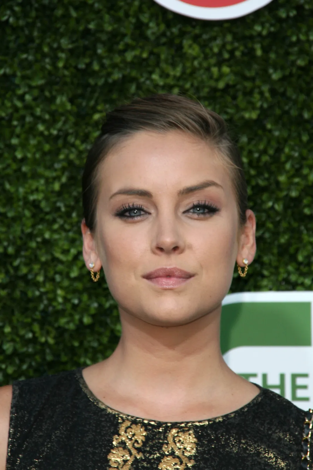 CBS, The CW, Showtime Summer Press Tour Party