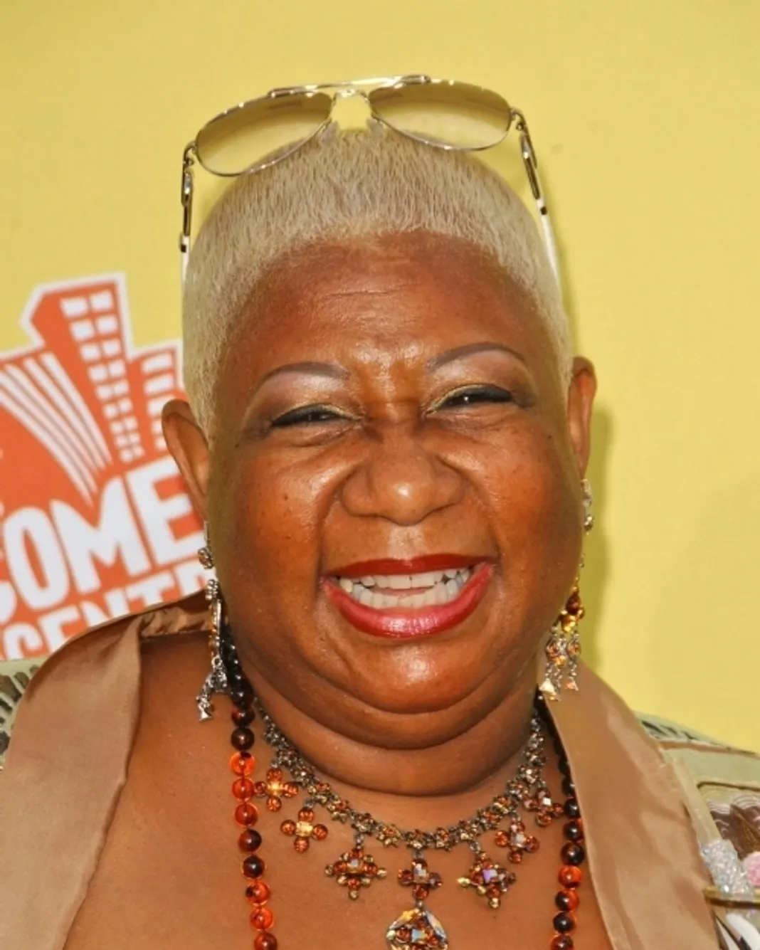 "Comedy Central Roast of Flavor Flav"